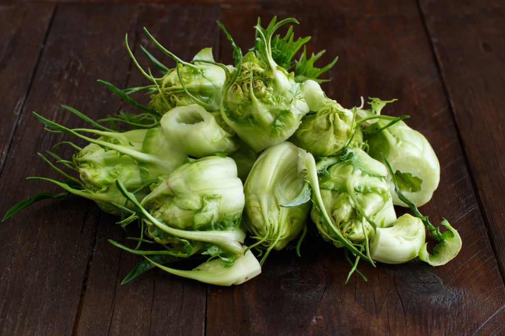 Chicory: Cultivation, Properties and Beneficial Uses